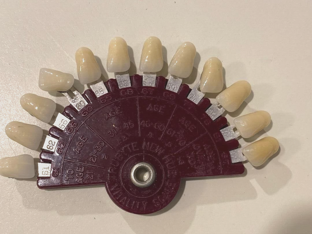 1) SHADE GUIDE DENTSPLY LIMITED TRUBYTE BIOFORM DENTAL DENTURE & CROWNS ...