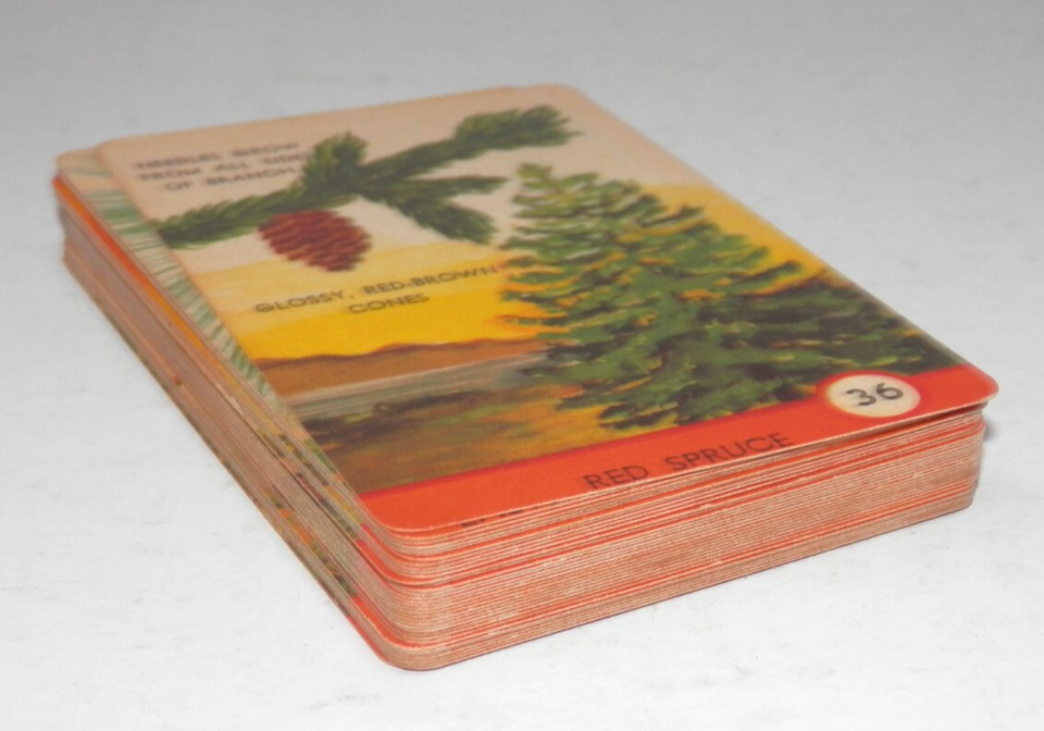 Vintage Tree Spotter Card Set • 36 Ed-U-Cards Set Identify Leaves Fruit ...