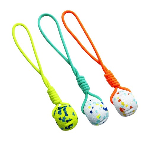 Dog Training Ball on Rope Bite Resistant Exercise for Medium Large Dogs ...