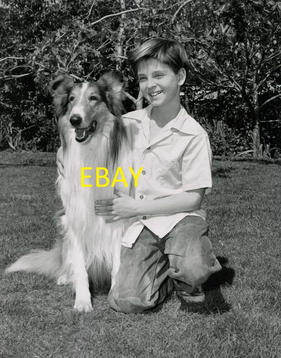 Tommy Rettig Lassie
