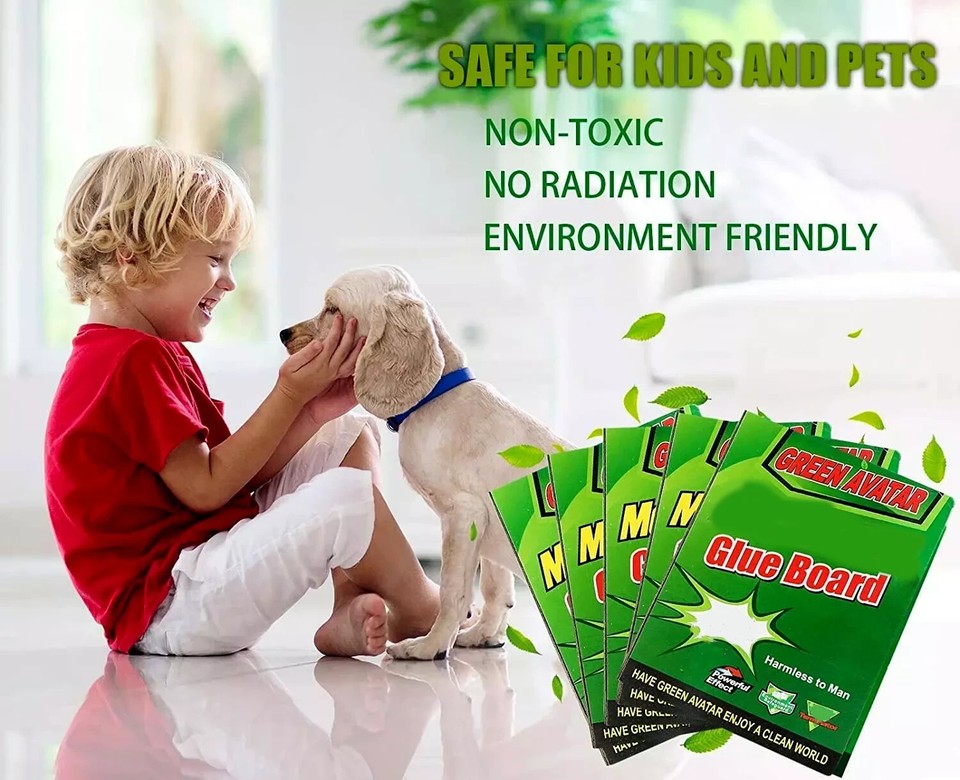 Glue Traps Non-Toxic Super Sticky Insect Catcher NOT for MICE, MOUSE ...