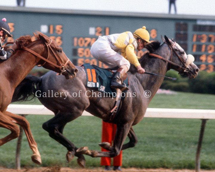 Gato Del Sol 1982 Kentucky Derby Photo 8" x 10 - 24" x 30" | eBay