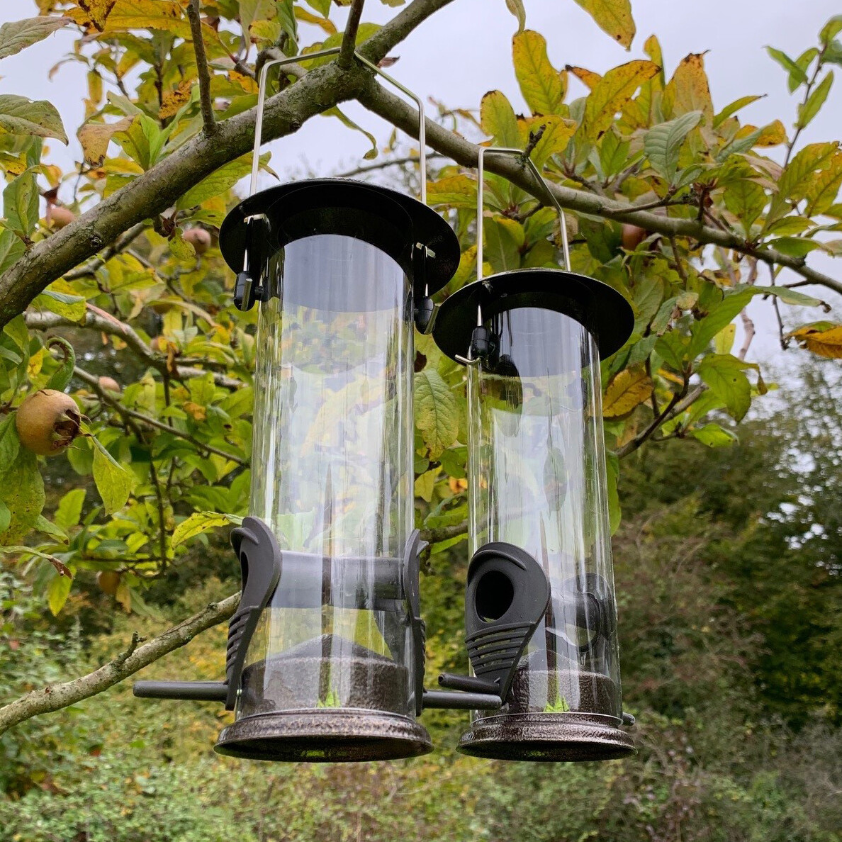 Complete Bird Feeding Stations Stand Feeder Tree Wild Garden Birds ...
