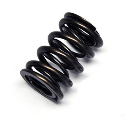 Supertech SPR-H1000D/BM Dual Valve Springs for BMW M42 1.8L 4-CYL 80 ...