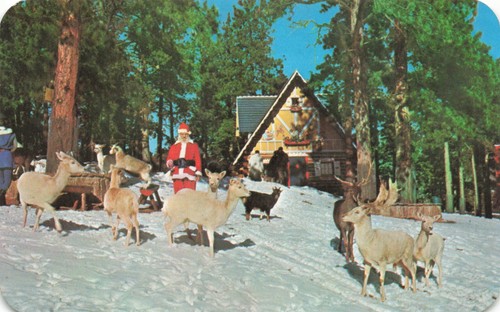 Postcard CO North Pole Winter Time At Santa's Workshop Showing Reindeer ...