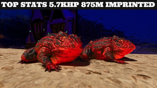 ARK Survival Ascended PvE PC/XBOX/PS Top Stats Beelzebufo 875m ...