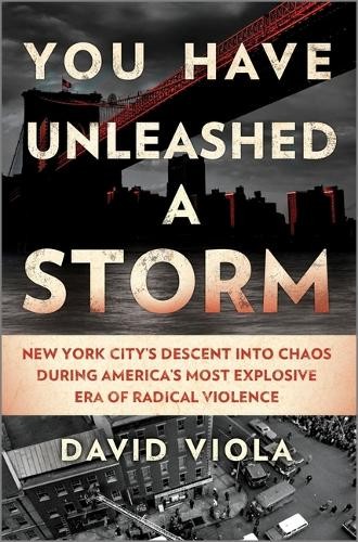 David Viola You Have Unleashed a Storm (Relié) | eBay