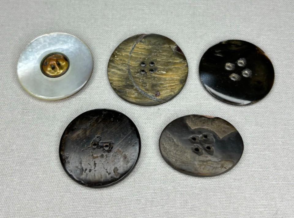 Lot of 5 Antique Carved Buttons Shell Abalone Mother Of Pearl | eBay