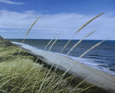 Cape Cod National Seashore Beach Massachusetts Fridge Magnet 3.5''x2.75 ...