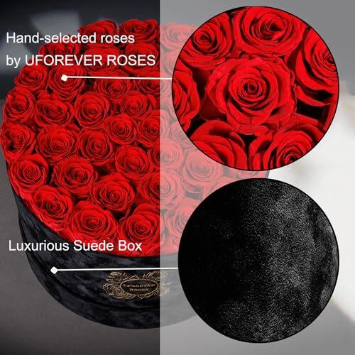 Luxury Preserved Roses in Suede Box - Flower Roses Gifts for Women, Red ...