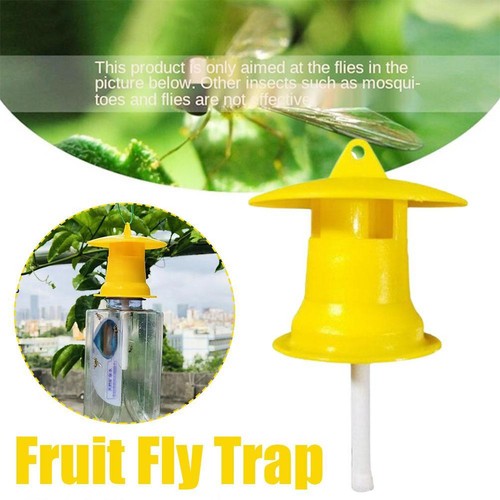 1X Fruit Fly Trap Killer Plastic YellowDrosophila Trap Fly Catcher Pest ...