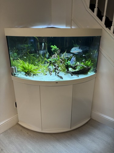 Juwel Trigon 350 Fish Tank Aquarium | eBay