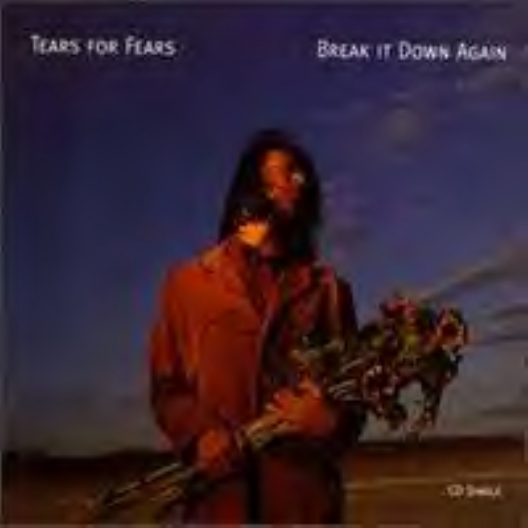 Tears For Fears Break It Down Again, 4 track USA Cd | eBay