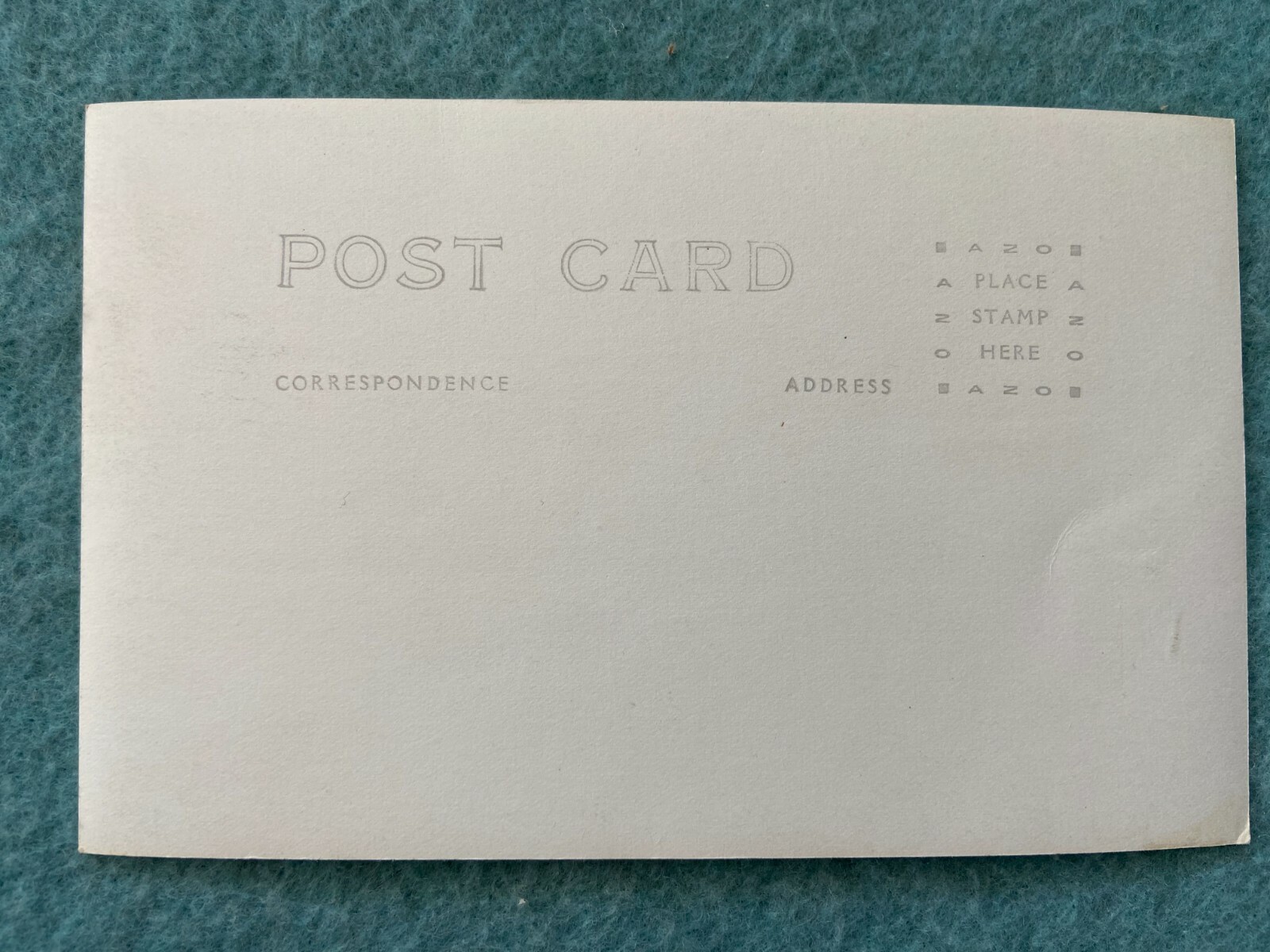 56 Foot Long Tree Log, Petrified Forest, Santa Rosa, CA. Vintage Photo ...