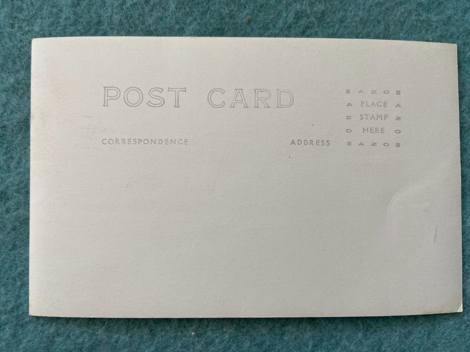 56 Foot Long Tree Log, Petrified Forest, Santa Rosa, CA. Vintage Photo ...