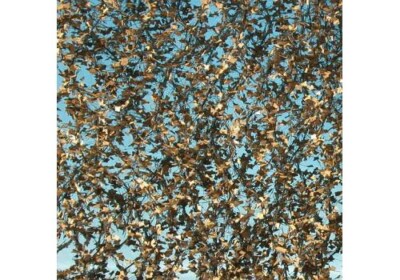 MININATUR Feuillage de lierre hiver HO 1/87 | eBay