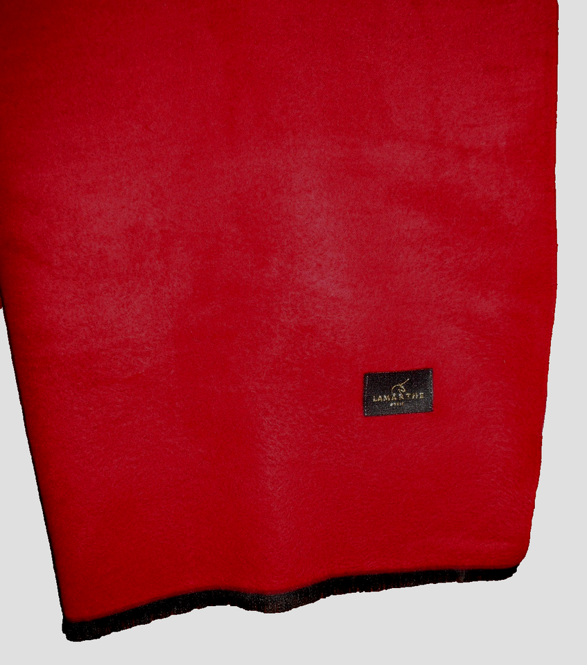 Lamarthe Paris Women's Red Cashmere/Silk Large Scarf Shawl | eBay UK