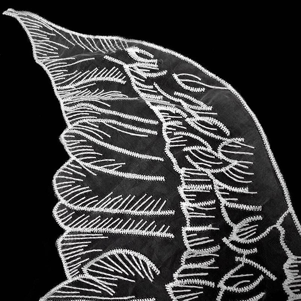 1 pair Lace Wing Mesh Embroidery Sew on Patches Clothing Dress Applique ...