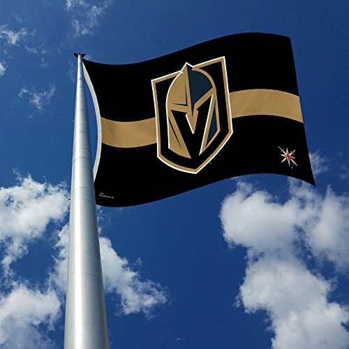 Rico Industries NHL Hockey Vegas Golden Knights Gold Stripe 3' x 5 ...