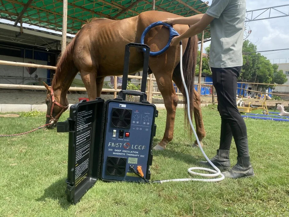 PEMF Body Wave Equine Magnetic Therapy PMST Loop Help Horses Alleviate ...