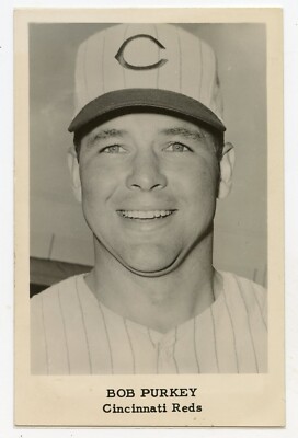 BOB PURKEY 1960 Cincinnati Reds Real Team-Issued Postcard Photo KOA | eBay