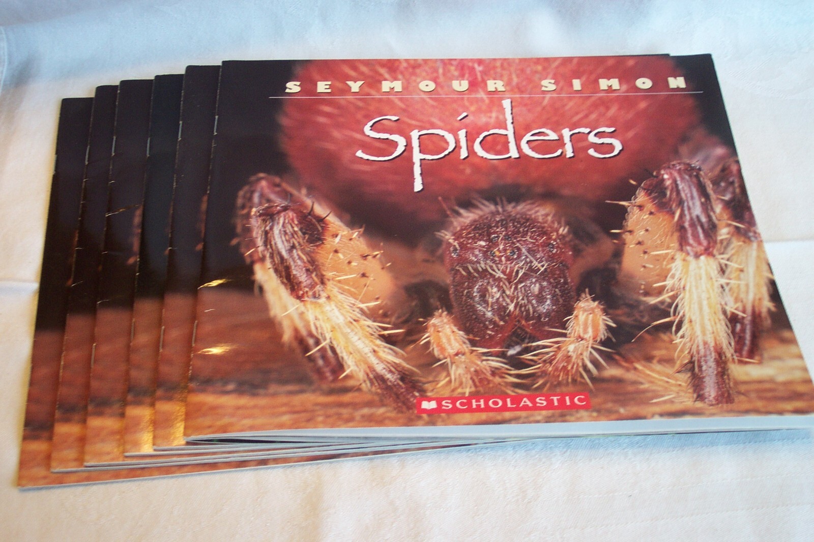 Spiders by Seymour Simon (2007, Trade Paperback) Set of 6 Books See ...
