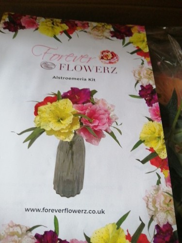 Forever Flowerz Alstroemeria Kit - Vibrant. New Free P&P | eBay UK