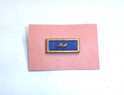 US Army Blue Presidential Unit Citation (PUC) Ribbon with Large Frame ...