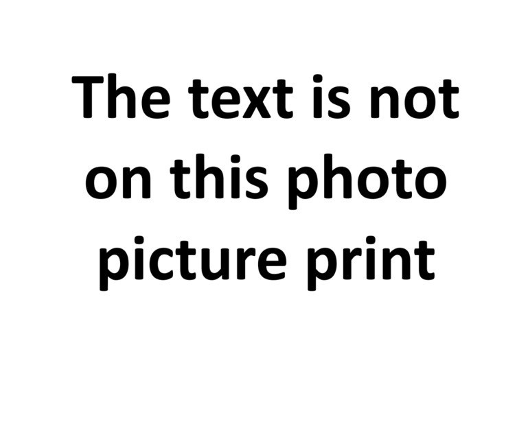 Nude Trans Transgender Shemale Tgirl Cute Adult Model 5x7 Photo Art ...