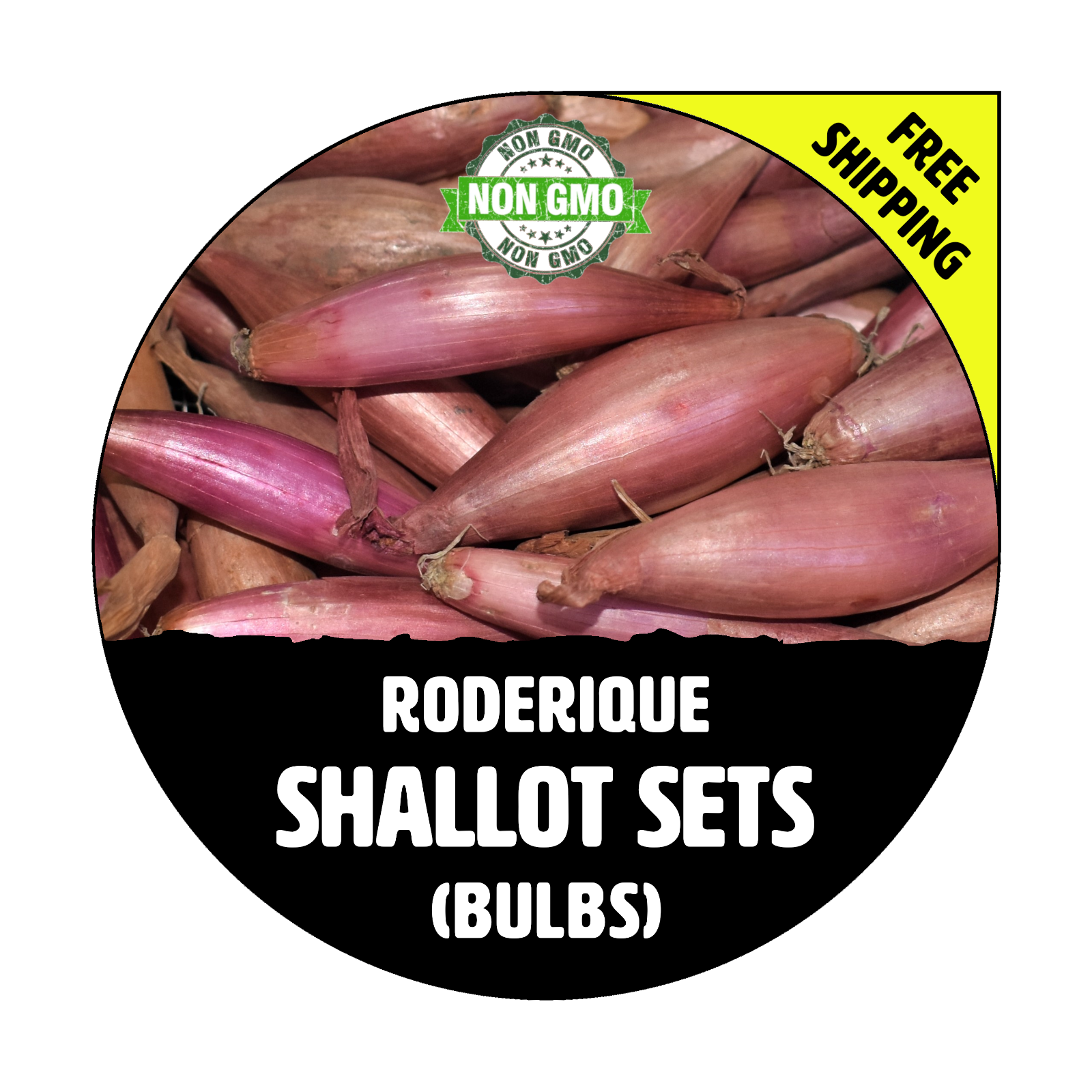 RODERIQUE FRENCH SHALLOT SETS (Long Bulb) - Banana Multiplier Onion ...