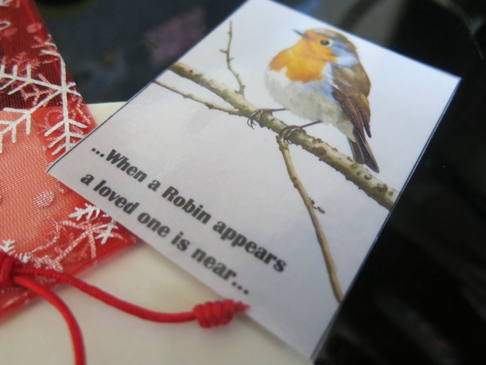 cute red corded pully bracelet with robin and bell charms/keepsake card ...