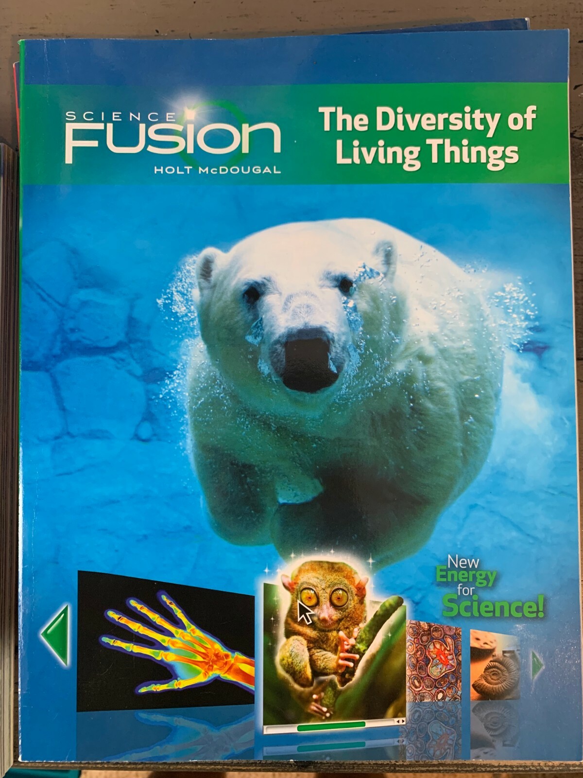 Science Fusion: Student Workbook - Module B - The Diversity of Living ...