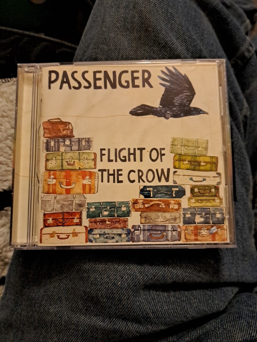 Flight Of The Crow Album Cover Sky Realm Coverartland