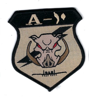 PATCH USAF 455TH EOSS EXP OPS SUPPORT SQ EOSS TAN A-10 BAGRAM AB FS-19 ...