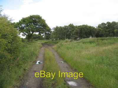 Photo 6x4 The Kells East Ord Woodland in summer. Motorbikes active near ...