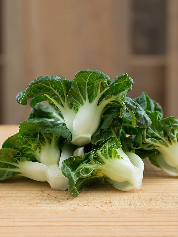 500+ Cabbage Seeds - Pak Choi - Extra Dwarf White Stem -- Heirloom ...