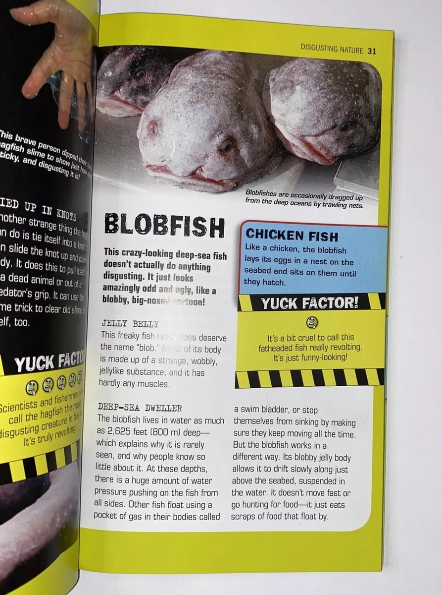 Most Disgusting Pictures Of All Time