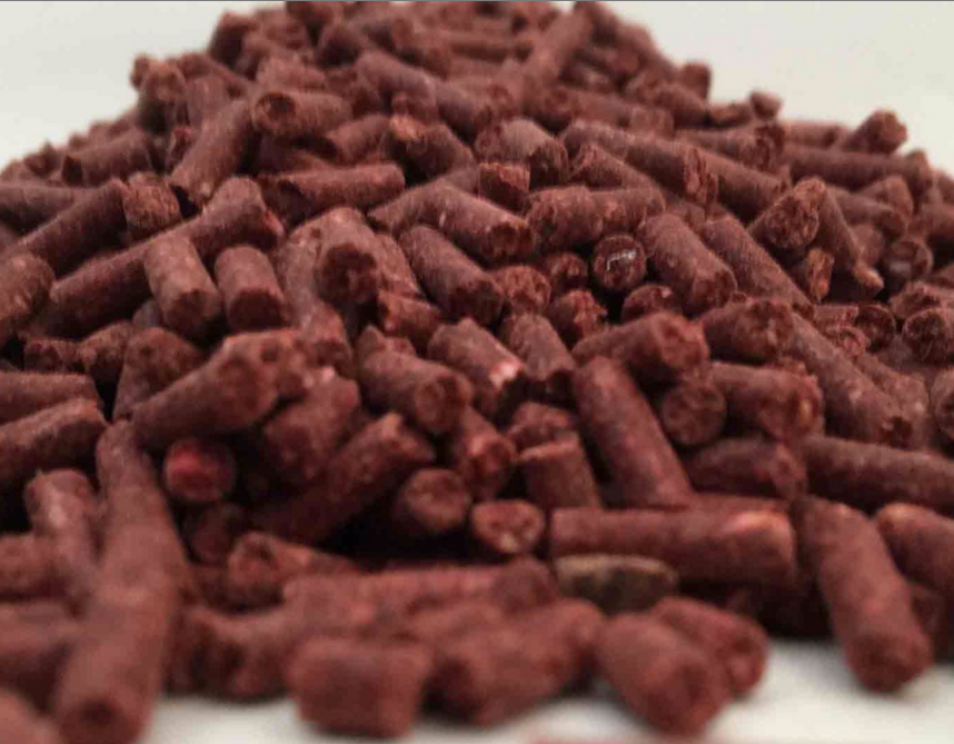 Bloodworm Pellets Fish Food Sinking Tropical Coldwater WITH FREE TREAT ...