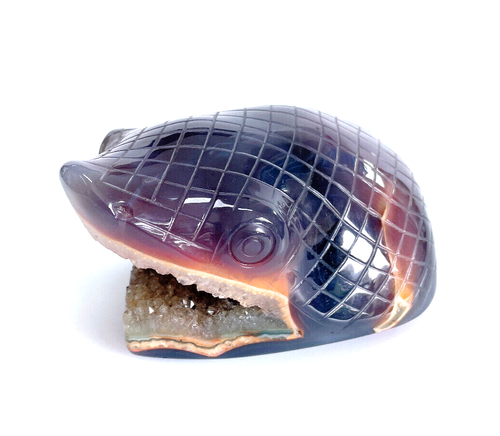 5.7'' Natural AGATE GEODE Carved Crystal Frog Skull , Home Decoration ...