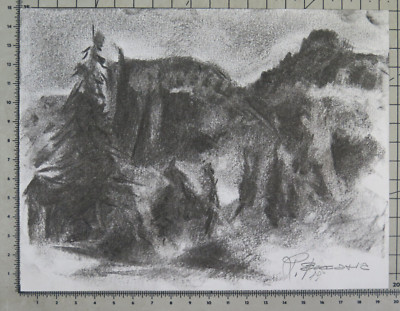 Drawing Charcoal On Paper Signed Beccaria Dated 99 Landscape Alpine DR3 ...