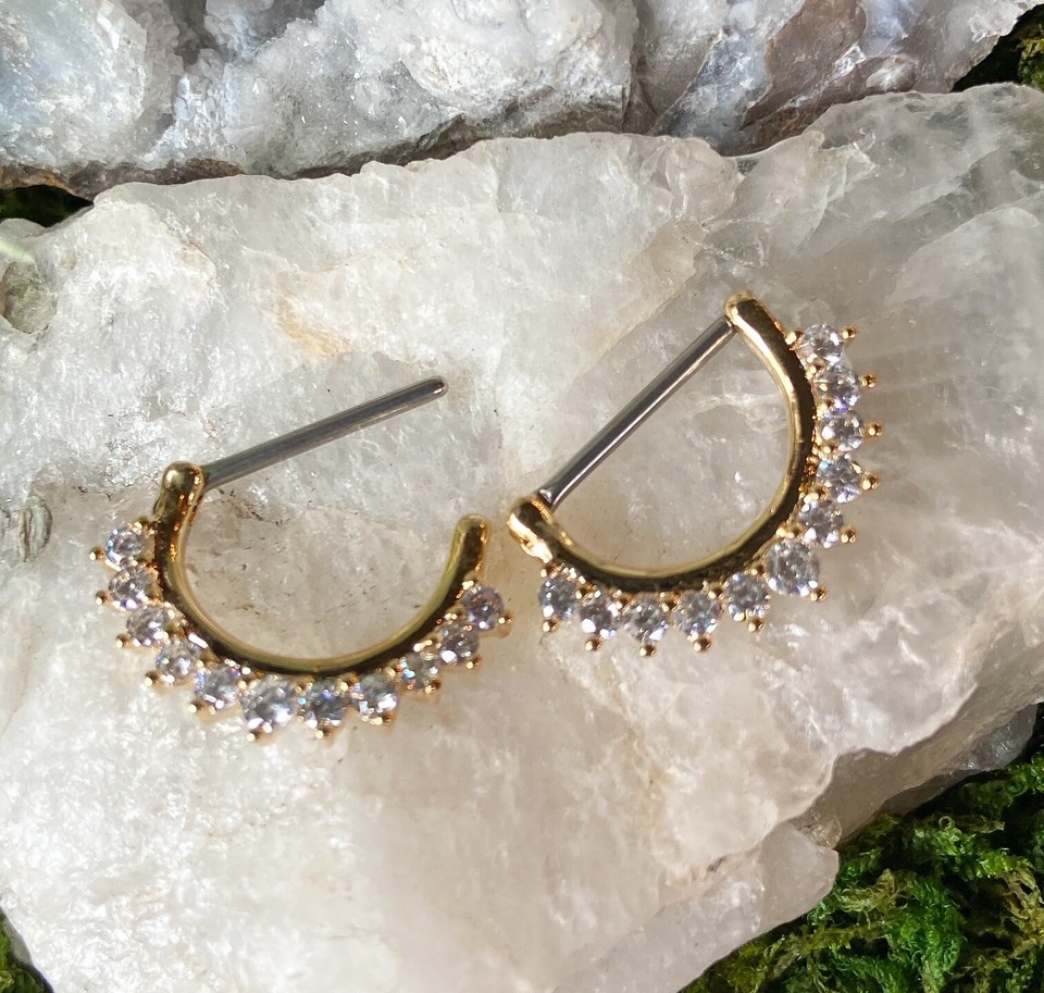 PAIR Lined CZ Gem Set Nipple Clicker Shields Rings Pierced Body ...