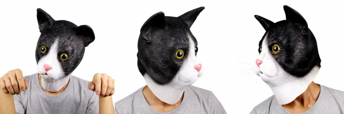 Grumpy Cat Halloween Mask