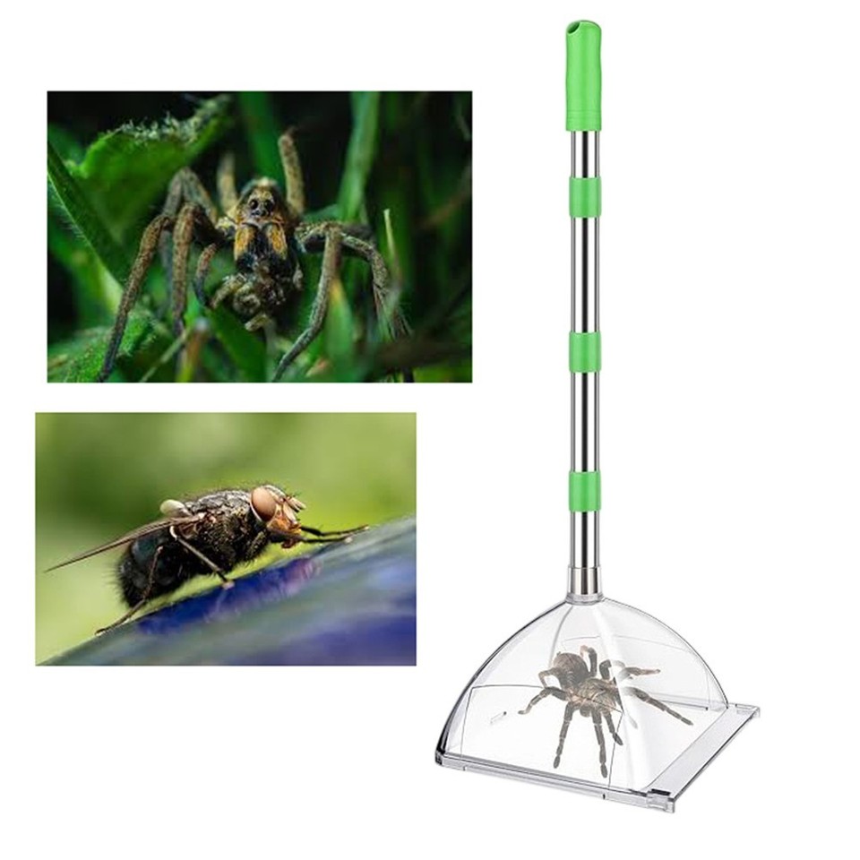 Adjustable Long Handle Spider Catcher Contactless Insect Catching Tool ...