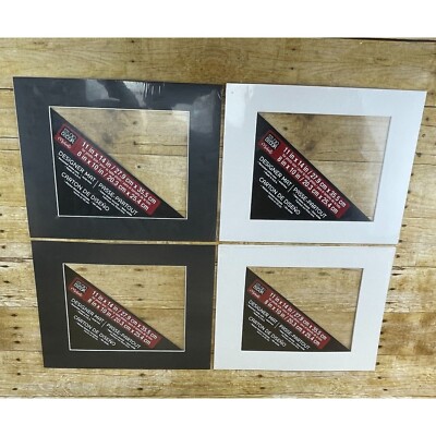 Picture Frame Mat LOT of 4 11x14 w/8x10 Opening Watercolors Paintings ...