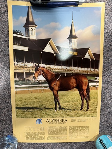 Vintage 1987 113th Kentucky Derby Poster Alysheba - McCarron Van Berg ...