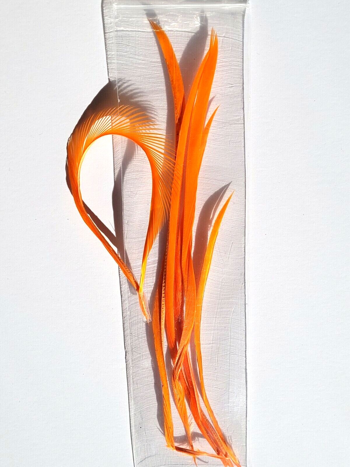 GOOSE BIOTS - 12 COLORS - 5 per pack - Fly Tying Material - Wings ...