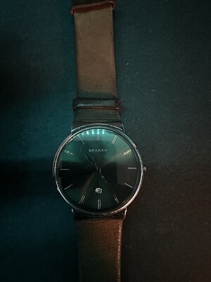 skagen denmark watch mens | eBay