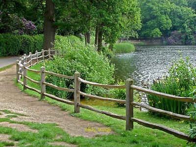Photo 12x8 Windsor Great Park, Obelisk Pond Egham Wick The eastern end ...