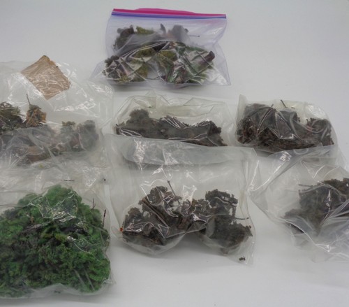 Z Scale Train Scenery Group Of Trees: Desiduous, Fall Colors ...