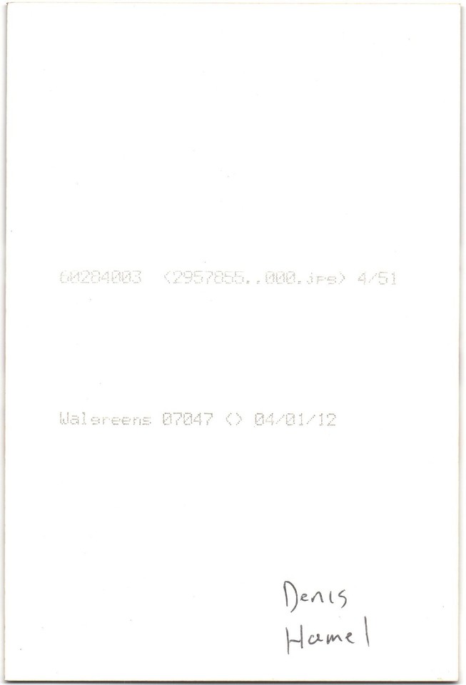 Denis Hamel Autographed 4x6 Color Photo Ottawa Senators #17 Red A | eBay